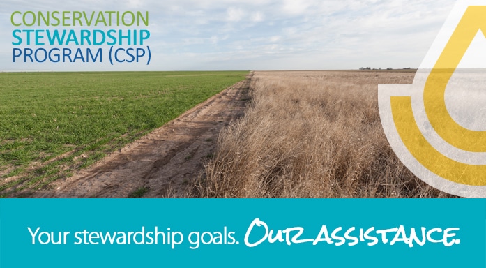 Conservation Stewardship Program Accepting Applications - WYRZ.org