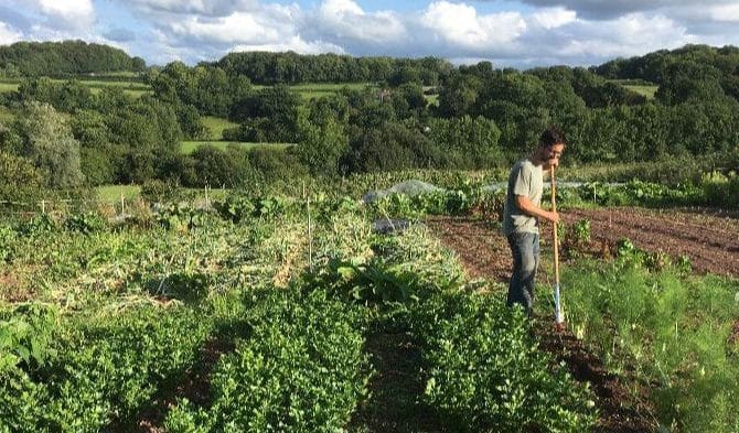 Learn Sustainable Small Farm Living - WYRZ.org